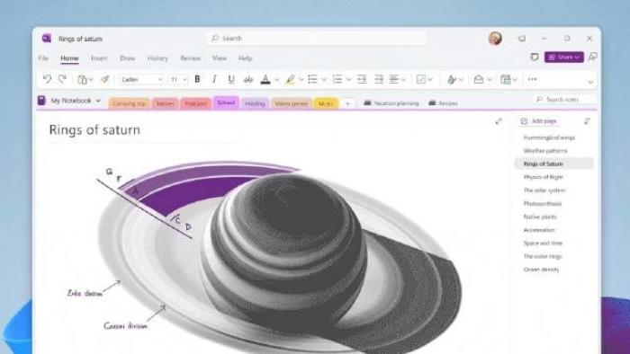 微软 OneNote Windows 11 预览版新增支持左侧垂直导航，不支持 Windows 10 - 天津睿斯福得IT外包服务公司