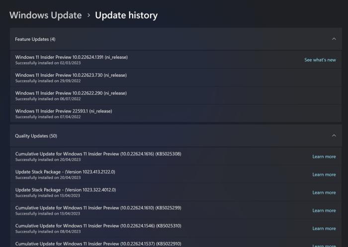 微软发布Windows 11 Beta Build 2262x.1616 预览版 - 天津睿斯福得IT外包服务公司